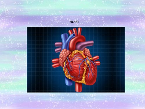 Book Creator | HEART