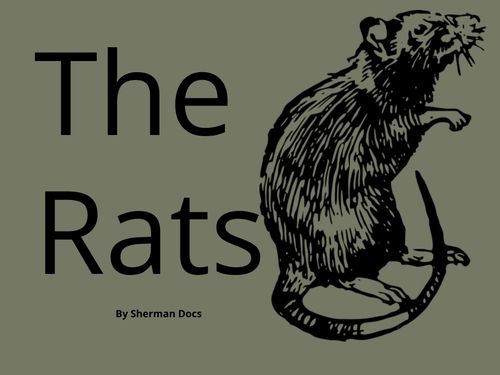 Book Creator | The Rats
