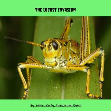 Book Creator | THE LOCUST INVASION