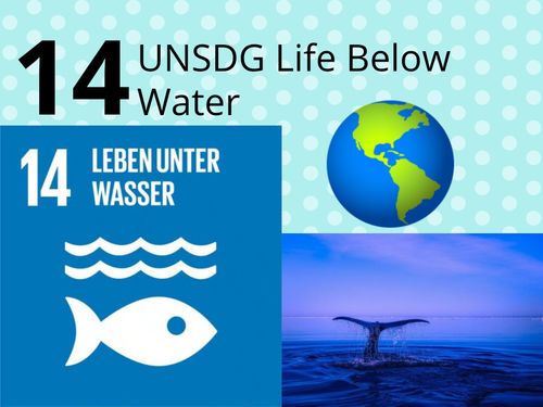 Book Creator | UNSDG 14 LIFE BELOW WATER