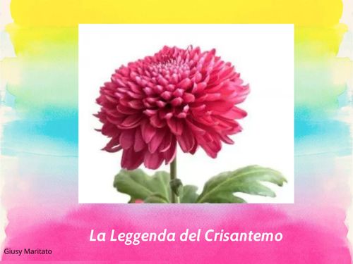 Book Creator | Leggenda del Crisantemo