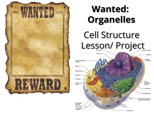 Book Creator | Organelle Wanted Posters - Eukaryotic Cell Structure Lesson