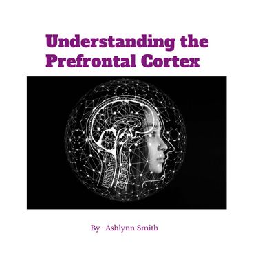 Book Creator | Frontal Cortex
