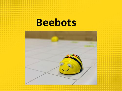 Book Creator | Beebots