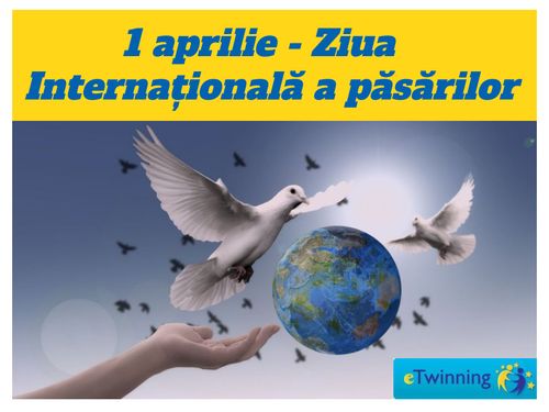 Book Creator | Terra- Universul meu