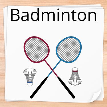 Book Creator | Badminton