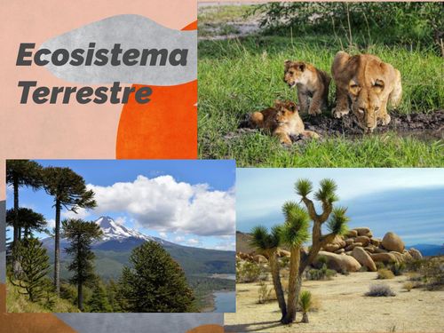 Book Creator Ecosistema Terrestre