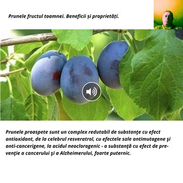Book Creator | Prunele-beneficii si proprietati