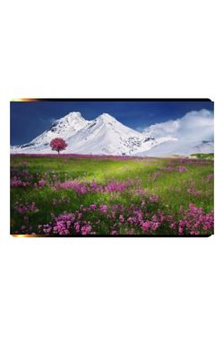 Book Creator | PAIku