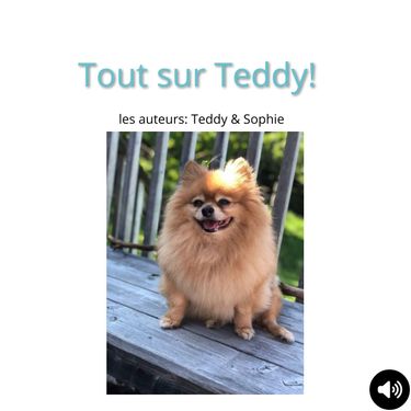 Book Creator | Tout sur Teddy