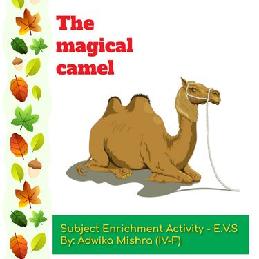 Book Creator | The Magical Camel