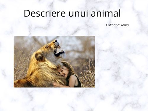 Book Creator | Descriere