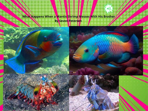 Book Creator | Mantis Shrimp Messes With His Brother