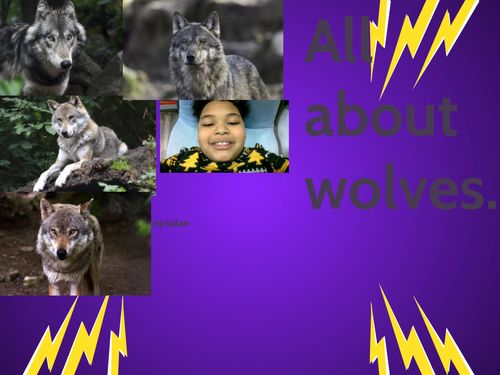 Book Creator | Wolves