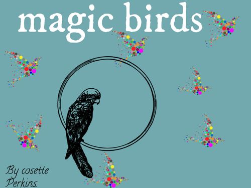 Book Creator | Magic Birds