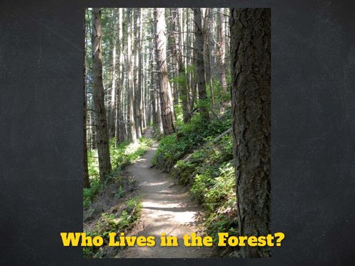 Book Creator | Who lives in the forest?