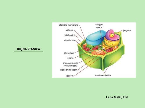 Book Creator | Biljna stanica