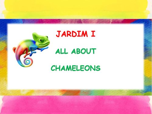 Book Creator | ALL ABOUT CHAMELEONS