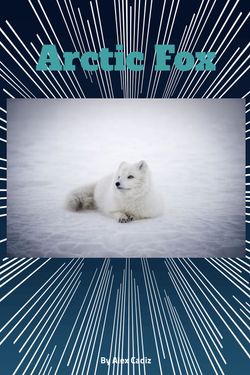 Book Creator | Arctic Foxes