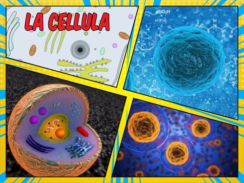 Book Creator | La cellula