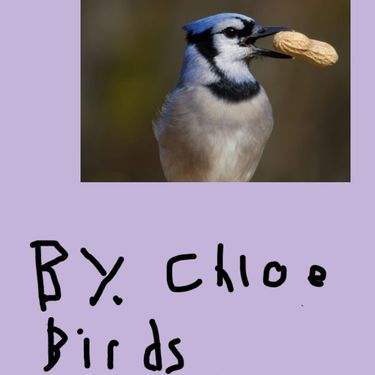 Book Creator | Birds