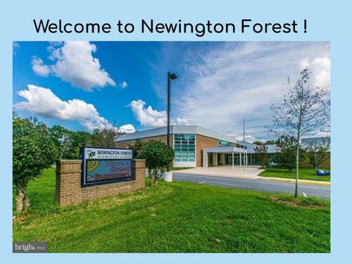 Book Creator | My School: Newington Forrest Elementary