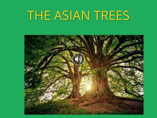 Book Creator | ASIAN TREES