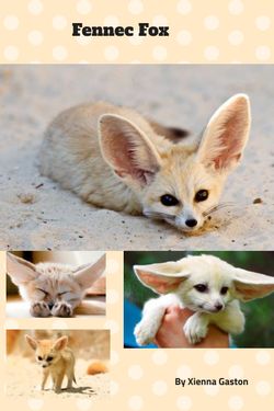 Book Creator | Fennec fox