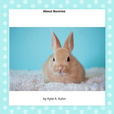 Book Creator | About Bunnies