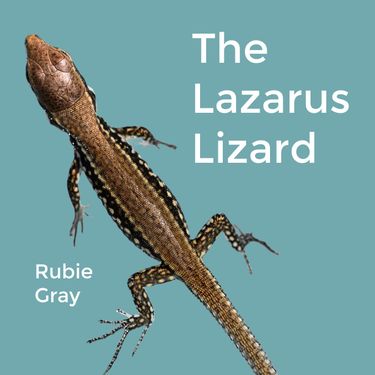 Book Creator | Lazarus Lizards