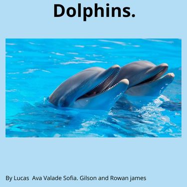 Book Creator | Dolphins