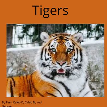 Book Creator | Tigers