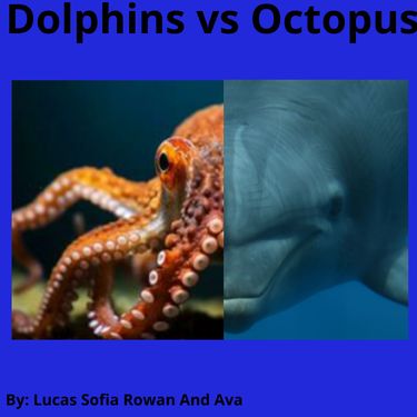 Book Creator | Octopuses vs. Dolphins