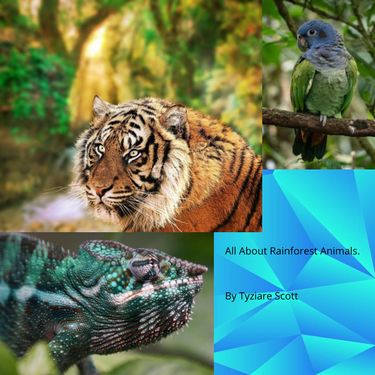 Book Creator | All About Rainforest Animals