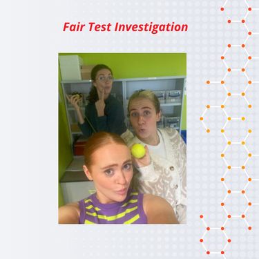 Book Creator | Fair test investigation