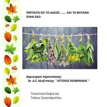 Book Creator | ΠΕΡΠΑΤΩ ΕΙΣ ΤΟ ΔΑΣΟΣ ....... ΚΑΙ ΤΑ ΒΟΤΑΝΑ ΕΙΝΑΙ ΕΔΩ