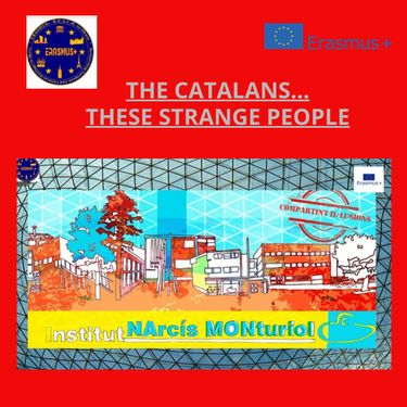 Book Creator | presentation erasmus