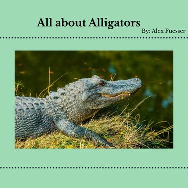 Book Creator | Alligator