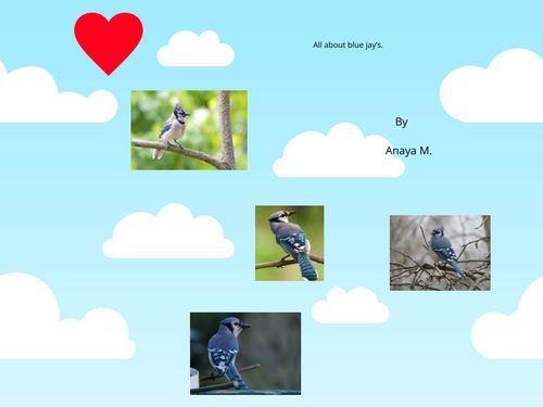 Book Creator | All About Blue Jays