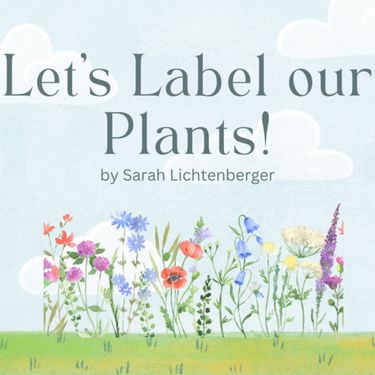 Book Creator | Let's Label our Plants