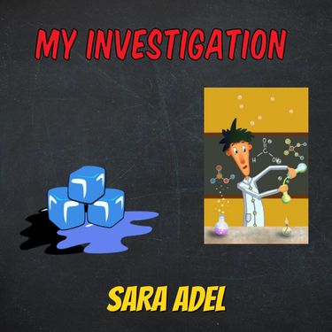 Book Creator | My investigation