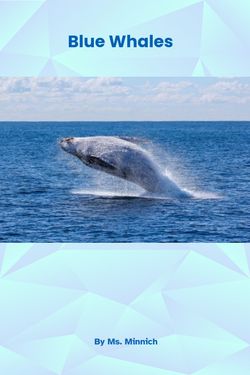 Book Creator | whales