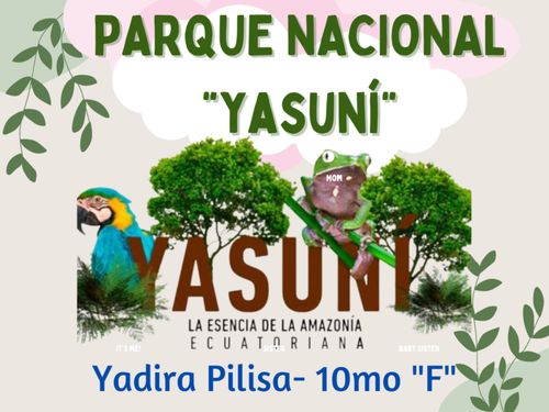 Book Creator | Parque Nacional YASUNÍ