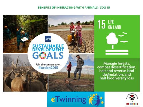 Book Creator | SDG-15