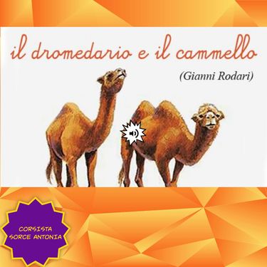 Book Creator | IL DROMEDARIO E IL CAMMELLO
