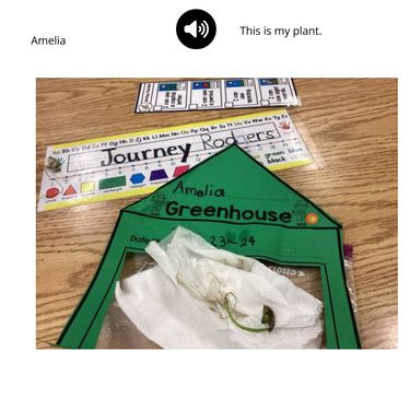 Book Creator | Amelia Plant Book