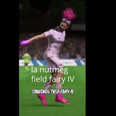 Book Creator | La nutmeg feild fairy the 4th