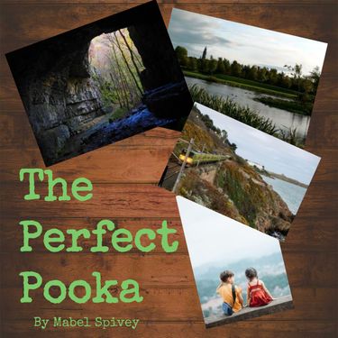 Book Creator | The Perfect Pooka