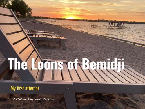 Book Creator | Roger