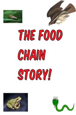 Book Creator | Food Chain Story